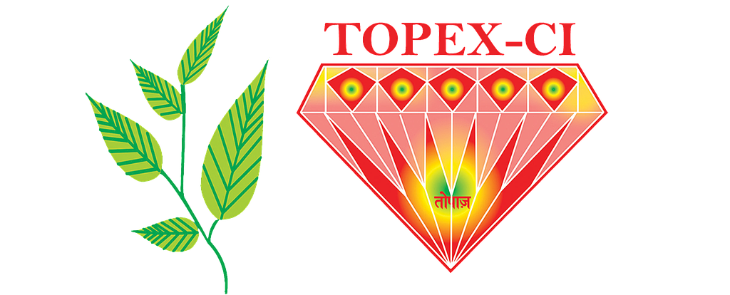 Frequently Asked Questions | Topex-ci